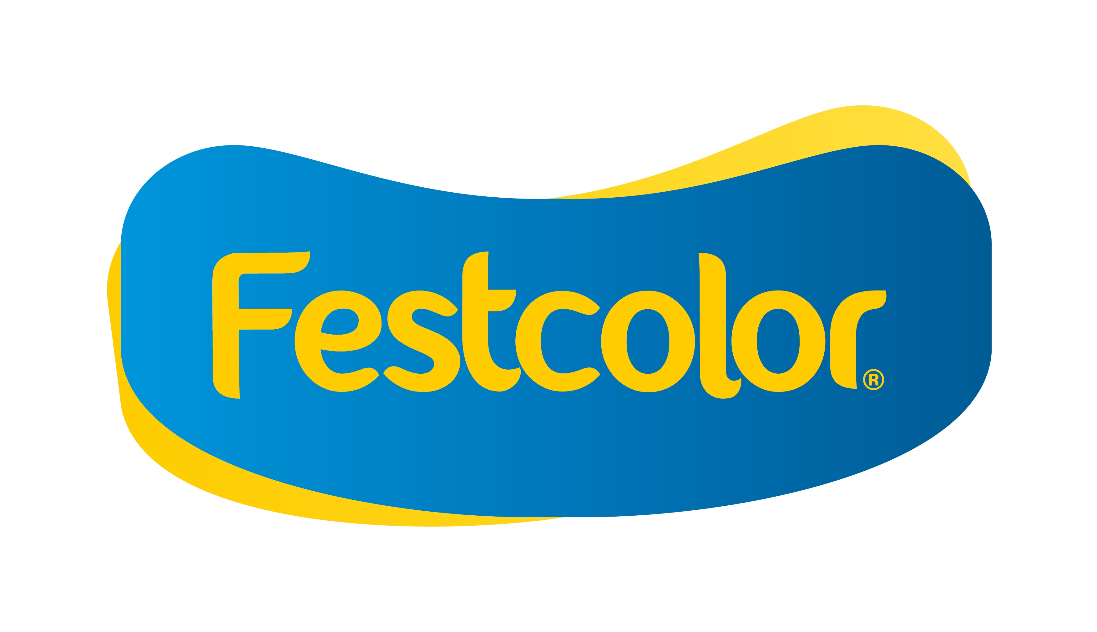 Empresa FESTCOLOR ARTIGOS DE FESTAS LTDA. • Jobs
